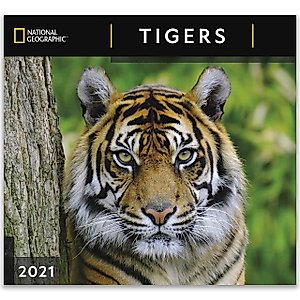 National Geographic Tigers 2021 Wall Calendar
