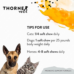 ThorneVET Probiotic Support Formula – Gastrointestinal Support for Dogs, Cats & Horses 60 Soft Chews