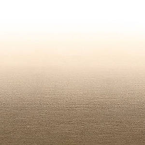 RecPro RV Awning Fabric Replacement | Width Options from 8 to 22 Feet | Variety of Color Options | 8' (96") Length RV Awning Replacement | Premium Vinyl (18' - Actual Width 17' 1", Tan/Camel Fade)