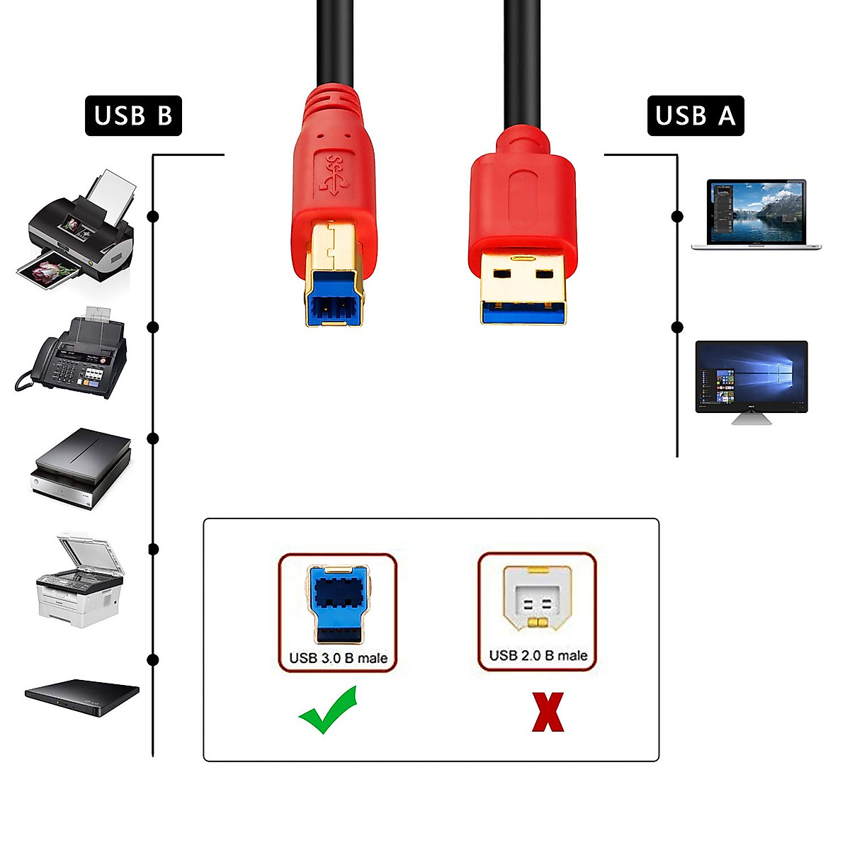Tan QY USB 3.0 Cable A Male to B Male 20Ft, Type A to B Male Compatible with Hard Disk Drive,Printers,Scanner,USB Hub,Monitor and More (6m/20Ft)