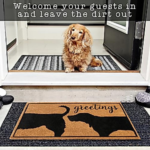 MAINEVENT Funny Dog Greetings Dog Door Mat 30x17 Inch, Funny Dog Welcome Mat, Welcome Mat Dog, Dog Front Door Mat, Dogs Welcome Coir Mat, Dogs Welcome Door Mat, Dogs Welcome Entrance Mat Doormat