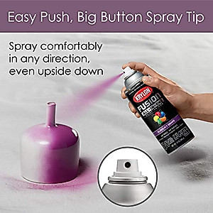 Krylon K02709007 Fusion All-In-One Spray Paint for Indoor/Outdoor Use, Gloss Icy Grape Purple, 12 Ounce (Pack of 2)