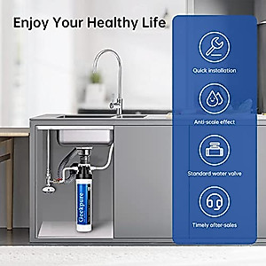 Geekpure Under Sink Water Filtration System- Scale Inhibition- Antiscale Carbon Filter