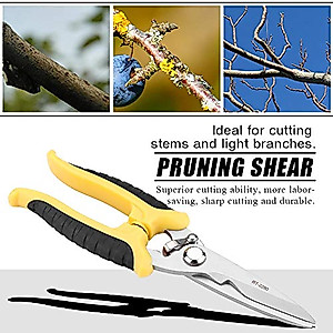 GYDXJGJ 8" 200mm Stainless Steel Pruning Shears Cutter Home Gardening Plant Scissor Branch Pruner Hand Tool