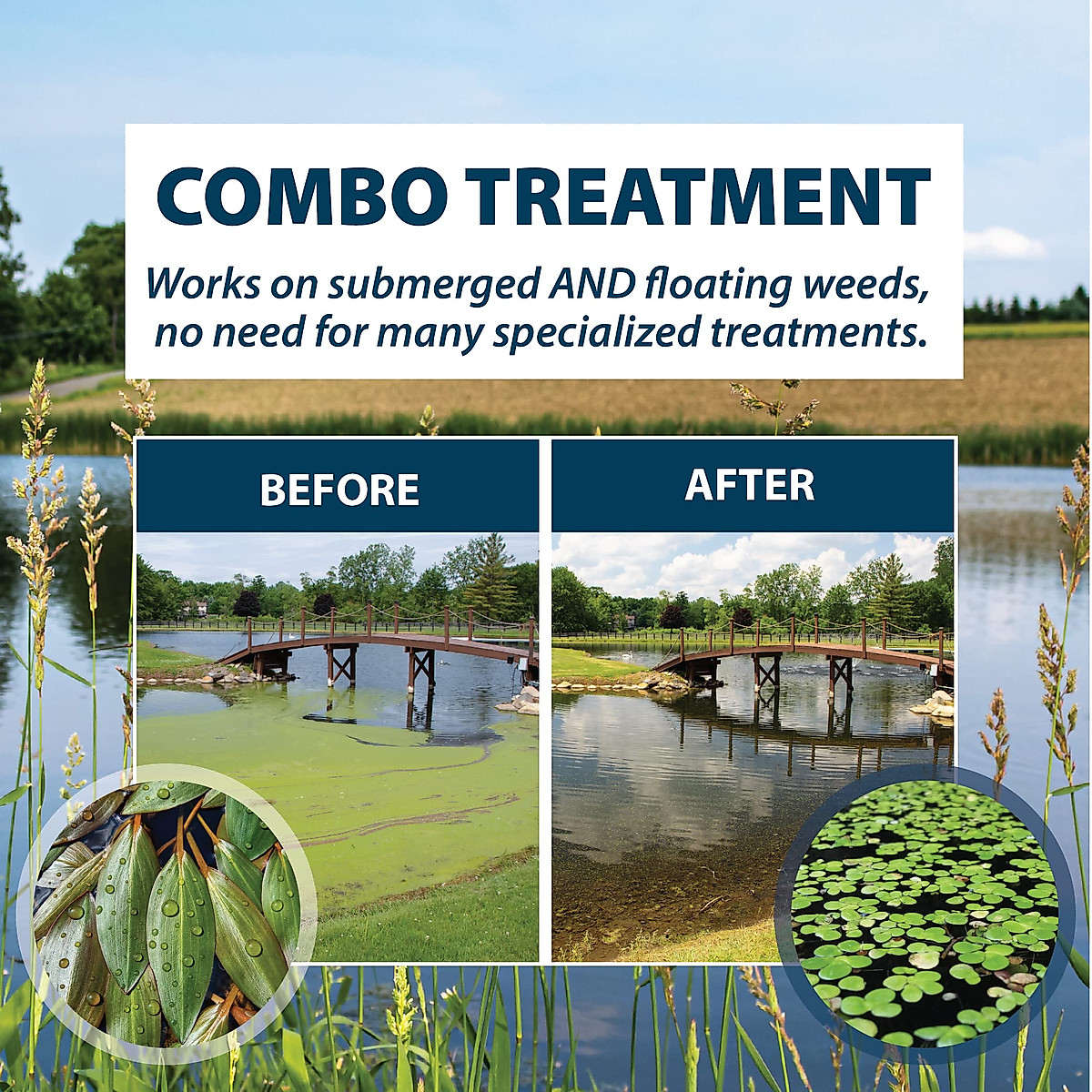 Airmax Wipeout Pond Weed Defense, Herbicide & Aquatic Weed Control, Controls Duckweed & Other Unwanted Submerged & Floating Vegetation, Easy-to-Use & Long Lasting, All-Season Treatment - 4 Ounce