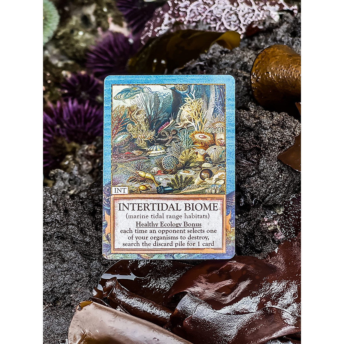 Montrose Biology Ecologies: Hidden Habitats - Use Science to Build Food Webs in 7 Biomes - Beautiful Vintage Nature Art for The Classroom or Game Night