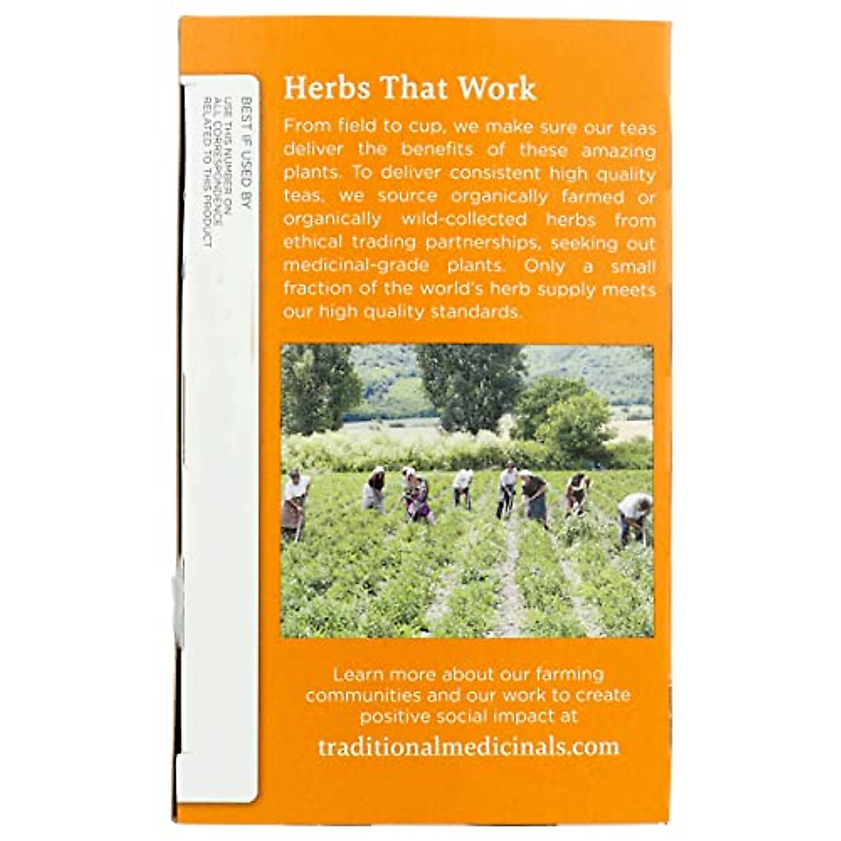 Traditional Medicinals Organic Gas Relief Chamomile Mint Herbal Tea, Relieves Gas & Bloating, (Pack of 1) - 16 Tea Bags