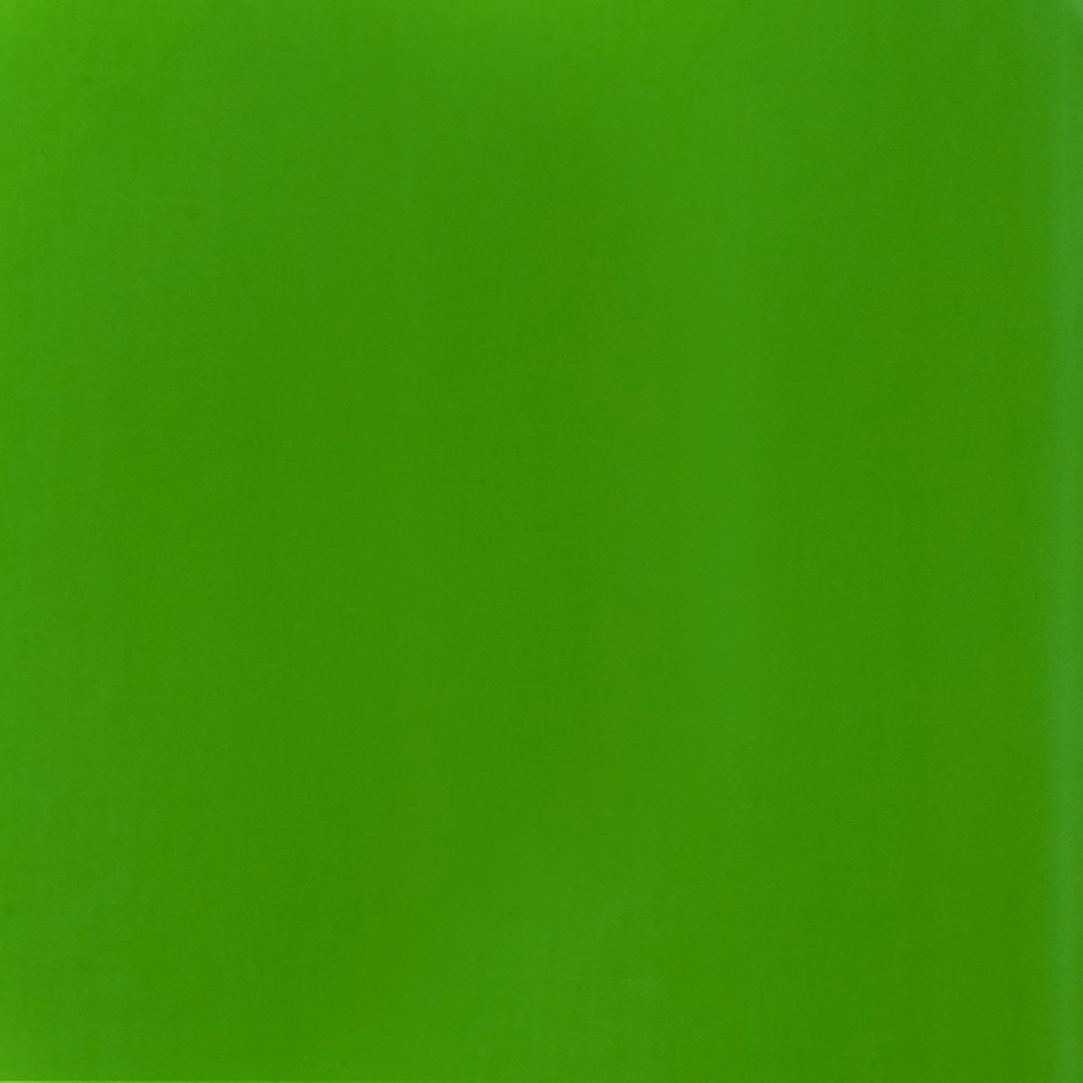 Liquitex BASICS Acrylic Paint, 118ml (4-oz) Tube, Fluorescent Green