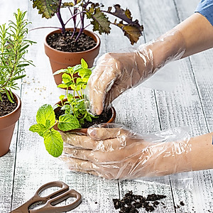 Comfy Package [100 Count] Disposable Poly Plastic Gloves for Cooking, Food Prep and Food Service | Latex & Powder Free - One Size Fits Most