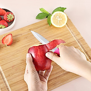 KL KALOO Paring Knife, Set of 4 Paring Knives Set With 2-Piece 4-inch Straight & Serrated Paring Knives, 3.5-inch Peeling Knife & 4.5-inch Utility Paring Knife (Green, Red, Pink and Yellow)