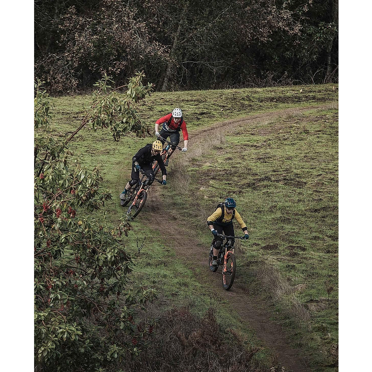 Poc Tectal Race Spin Helmet Hydro-WHT-Black MD-LG