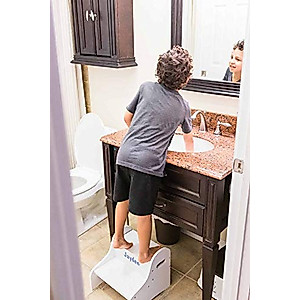 Dibsies Step Stool with Storage (Pink)