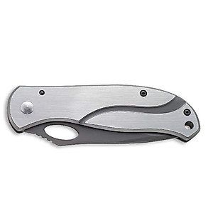 CRKT Pazoda EDC Folding Pocket Knife: Everyday Carry, Gray Ti Nitride Blade, Thumb Slot, Liner Lock, Stainless Handle, Pocket Clip 6480