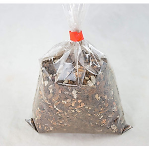 5.75" Oval Teal Green Bonsai/Succulent Pot + Soil + Tray + Rock + Mesh Kit