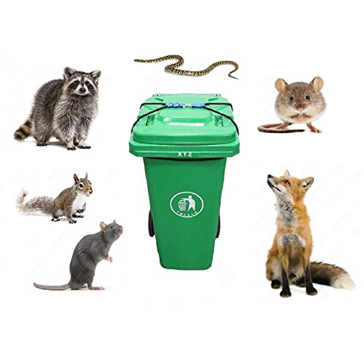 Koolist Trash Can Lid Lock, Suitable for 45 Gallon trash cans ( BIN NOT INCLUDED ). The Heavy Duty Locking System Will Secure Your Garbage Bins against Unwanted entry by Scavenging Animals