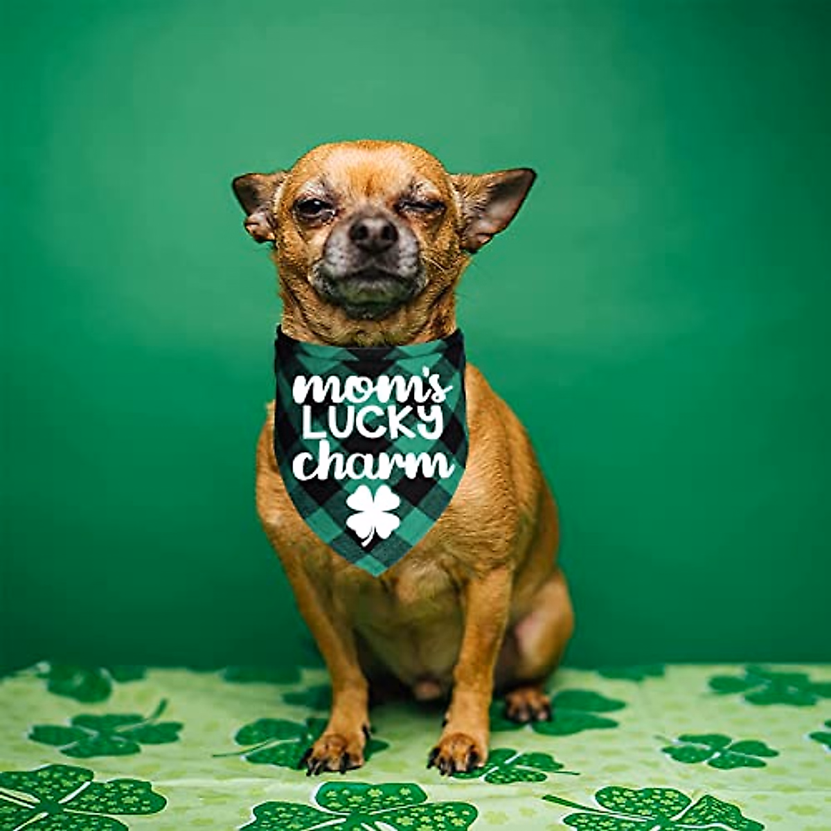 JOTFA 4 Pack Valentine's Day St. Partick's Day Easter Dog Bandanas, Holiday Plaid Dog Puppy Bandana Scarf Costume for Small Medium Large Dogs Pets