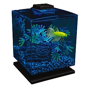 Tetra GloFish Betta Aquarium Kit 1.5 Gallons, Easy Setup and Maintenance, Perfect Starter Tank,Black/Clear