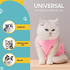 Avont Cat Recovery Suit - Kitten Onesie for Cats After Surgery, Cone of Shame Alternative Surgical Spay Suit for Female Cat, Post-Surgery or Skin Diseases Protection -Pink(M)