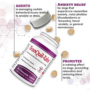 TranQuil-Tabs for Dogs - Contains Chamomile, L-Tryptophan, and Melatonin - Relieves Stress and Tension - Ease Travel and Separation Anxiety - 60 Tabs