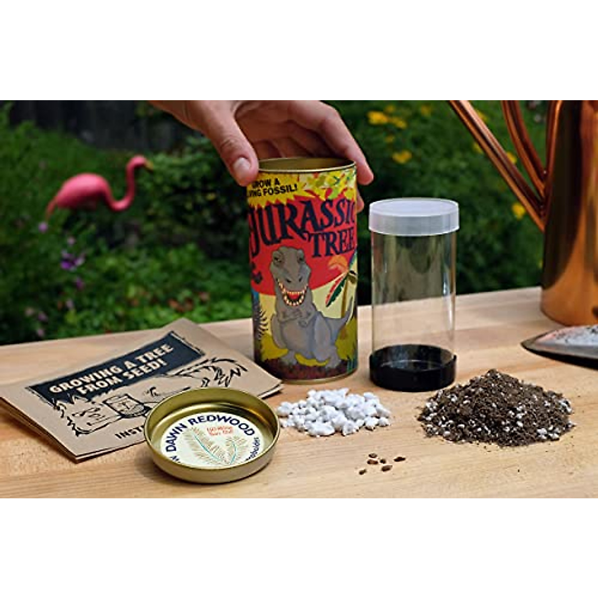 Jurassic Dawn Redwood | Tree Seed Grow Kit | The Jonsteen Company