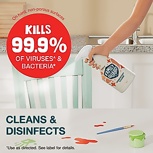 Family Guard Brand Disinfectant Spray Trigger & Multi Surface Cleaner, Antibacterial Spray, Expertly Formulated for Use In Homes with Children & Pets, Citrus Scent, 32 oz (Pack of 1)