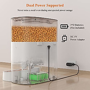 HoneyGuaridan Automatic Cat Feeder, 6L Timed Cat Feeder with Desiccant Bag for Pet Dry Food, Dual Power,10s Voice Recorder, 0-24 Portions 6 Meals per Day, Travel Supply Feeder for Cats and Dogs