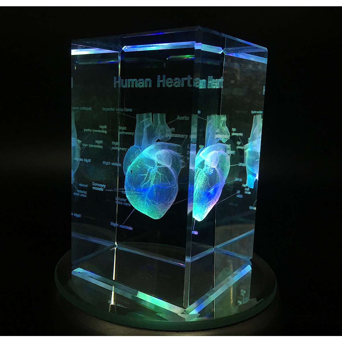 3D Human Heart Anatomical Model Paperweight(Laser Etched) in Crystal Glass Cube Science Gift (No Included LED Base)(3.1x2x2 inch)