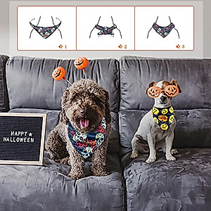 PurrNbark Halloween Dog Bandanas for Small Medium Large Breed Dogs and Cats Dog Bandana Girl Boy Scarf 2Pack Halloween Costumes Accessories Pumpkin Skeleton Ghost Pattern Black
