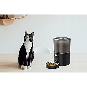 Mcacetine Automatic Cat Feeders, Auto 4L Timed Cat Dog Feeder Pet Dry Food Dispenser Smart cat Dog Feeder with Stainless Steel Bowl for Small Medium Pets