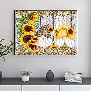 Hestarcul 5D Diamond Painting Kit,Gnome Diamond Art Kits for Adults Round Full Drill,Paint with Diamonds for Gift,Wall Décor