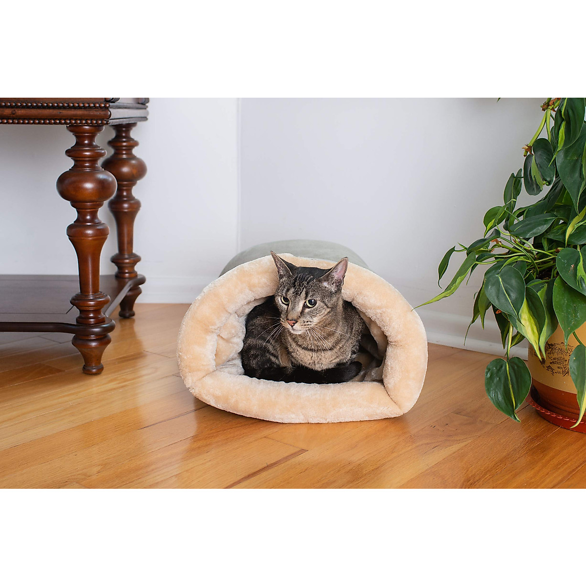 Armarkat Sage Green Cat Bed Size, 22-Inch by 14-Inch