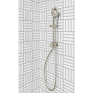 American Standard 9238759.295 Spectra Filtered Hand Shower Rail System in Brushed Nickel