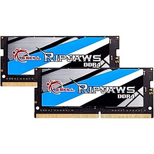 G.SKILL Ripjaws DDR4 SO-DIMM Series DDR4 RAM 64GB (2x32GB) 2666MT/s CL18-18-18-43 1.20V Unbuffered Non-ECC Notebook/Laptop Memory SODIMM (F4-2666C18D-64GRS)