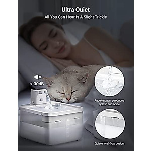 DownyPaws Wireless Cat Water Fountain, Battery Operated Automatic Pet Water Fountain with Motion Sensor, 84oz/2.5L Ultra Quiet Dog Water Dispenser Inside
