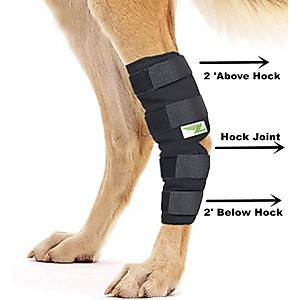 Rear Dog Leg Brace One Pair Heals Hock Joint Wrap Sleeve for Hind Legs(L/Long)