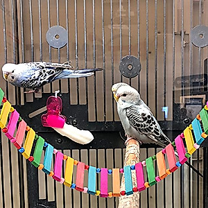 PATKAW Wooden Toys Parrot Toys Parrot Toys of 2 Chicken Swing Toy Pet Chicken Swing Toys Wood Chicken Swing Chicken Swing Toys Chicken Ladder: Climbing Climbing Toys Climbing Toys Parakeet Toys