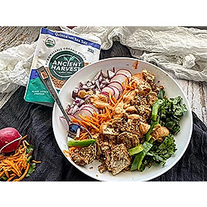 Ancient Harvest Microwavable Quinoa Sea Salt, USDA Organic, Non-GMO ingredients, Ready to Eat, Vegan Plant Based Protein, Gluten-Free, No Refrigeration Required, Family Size 16oz (Pack of 6)