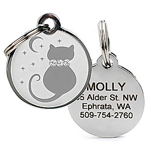 GoTags Designer Pet ID Tags in Stainless Steel for Dogs and Cats, Custom Engraved with 4 Lines of Personalized ID, Cute, Unique Pet Tags in Several Fun Designs