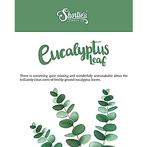 Shortie's Candle Company Eucalyptus Leaf Wax Melts - Formula 117-1 Highly Scented 3 Oz. Bar - Made with Essential & Natural Oils - Fresh & Clean Air Freshener Cubes Collection