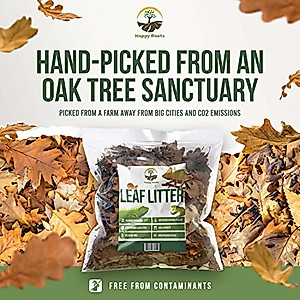 Organic Oak Leaf Litter Hand Collected and Packaged. 4 Quarts.