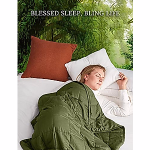 BB BlinBlin Weighted Blanket Heavy Blanket for Cool & Restful Sleep, Premium Soft Material and Glass Beads (Veridian Green, 60''x80'' 25lbs), Suit for One Person(~240lb) Use on Queen/King Bed