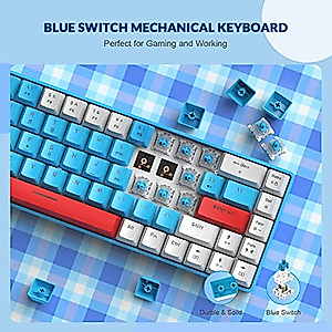 ZIYOU LANG RK-T8 Wired 65% Mechanical Gaming Keyboard with RGB LED Backlit Anti-ghosting TKL Mini 68 Key Custom Coiled C to A Cable Tactile Blue Switch for PS4 PS5 Xbox PC Mac Gamer(White/Blue/Red)