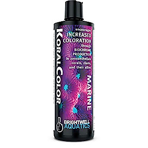 Brightwell Aquatics KoralColor - Marine Water Conditioner Increases Coloration in Corals, Clams & Other Allies, 500-ML