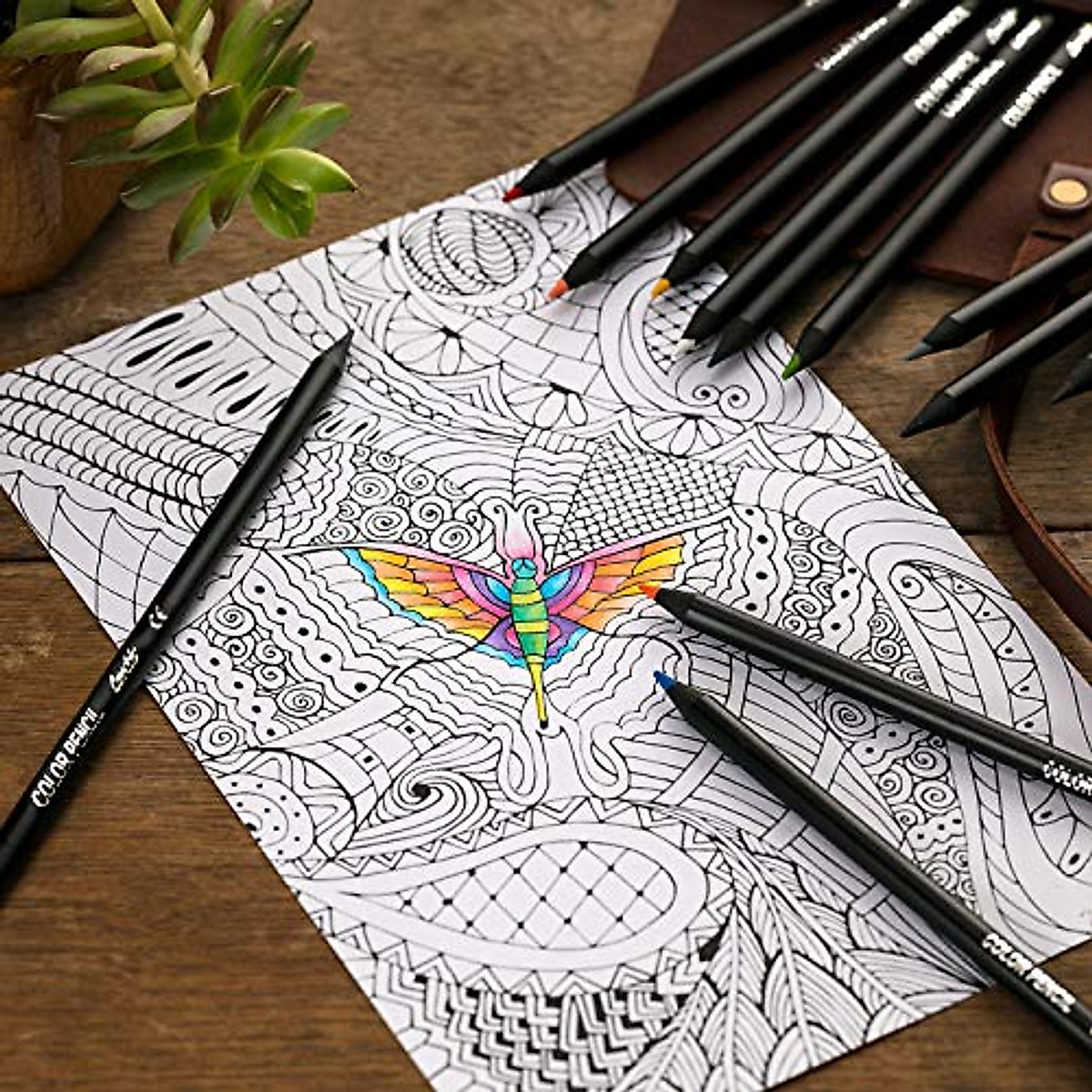 BIC Conte Watercolour Pencil (Tin of 12)