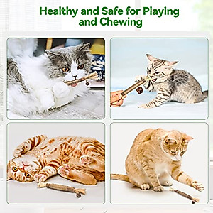 Aucenix Silvervine Sticks for Cats Lick - Silvervine Blend Sticks for Kittens Chewing,Natural Silvervine Cat Chew Sticks for Teeth Cleaning and Stress Release