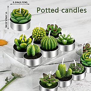 Outee 12 Pcs Cactus Tealight Candles Handmade Delicate Succulent Candle Cactus Candles Smokeless Aromatherapy Mini Candles Tea Lights 12 Styles for Home Décor Birthday Gift Party Wedding SPA