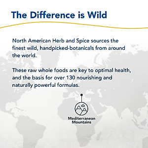 NORTH AMERICAN HERB & SPICE ScalpClenz Shampoo - 8 oz. - Moisturizes & Supports Healthy Scalp & Hair - No Petrochemicals, Dyes, or Sulfates - Non-GMO