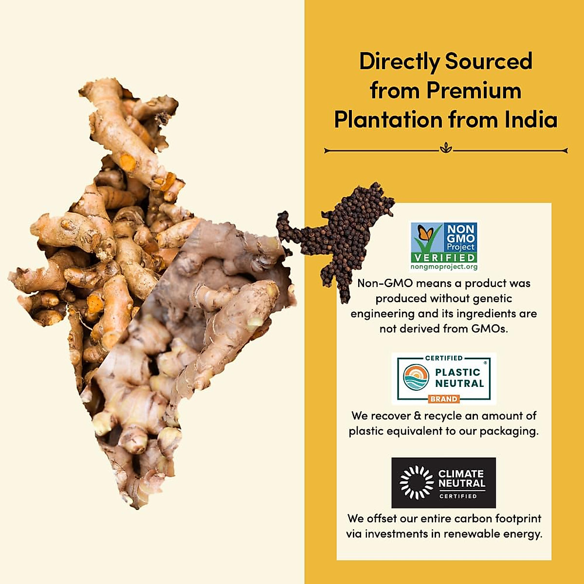 VAHDAM, Turmeric Ginger Latte Mix (40 Cups, 3.53oz) Caffeine-Free, Non-GMO, Gluten Free | Golden Milk Powder With Curcumin, Black Pepper & Ginger | Brew Hot/Iced Tea Or Turmeric Latte