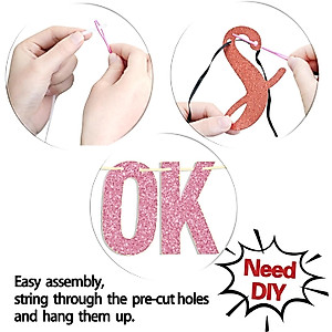 ADULLPONY Going Away Party Decorations Rude That You're Leaving But OK Banner Funny Farewell Decorations Party Set with Pink and Gold Glitter Perfect for Coworker Leaving Goodbye Party Decorations