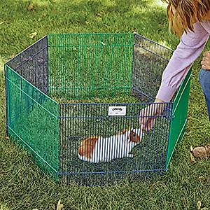 Small Animal Pet Playpen /Exercise Pen, Blue and Green,1 Count (Pack of 1), Small Animal Playpen.